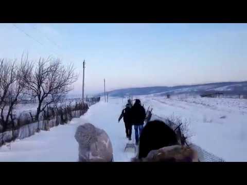 Winter 2017 - YouTube