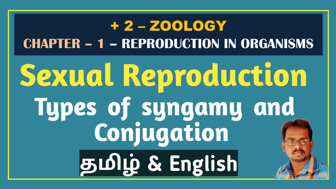 Sexual reproduction - Types of Syngamy in Animal & Conjugation ...
