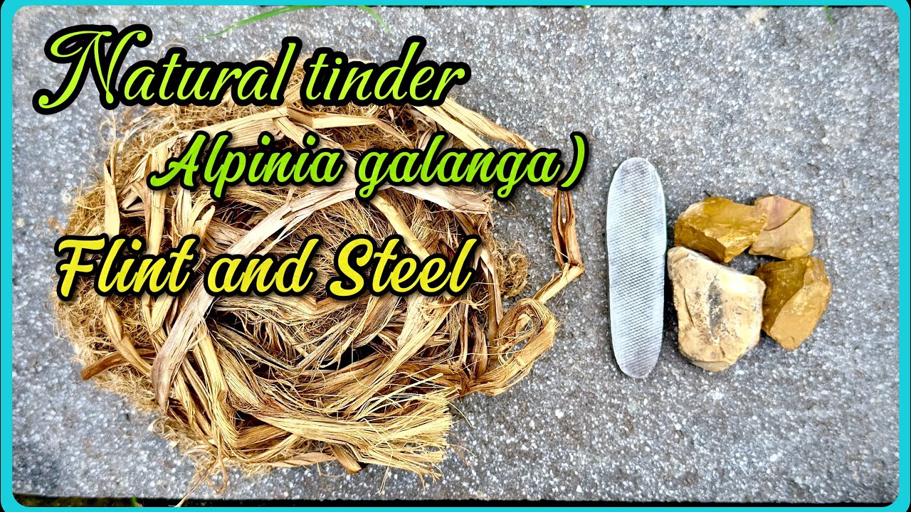 Making tinder Flint and steel from galangal plants - YouTube