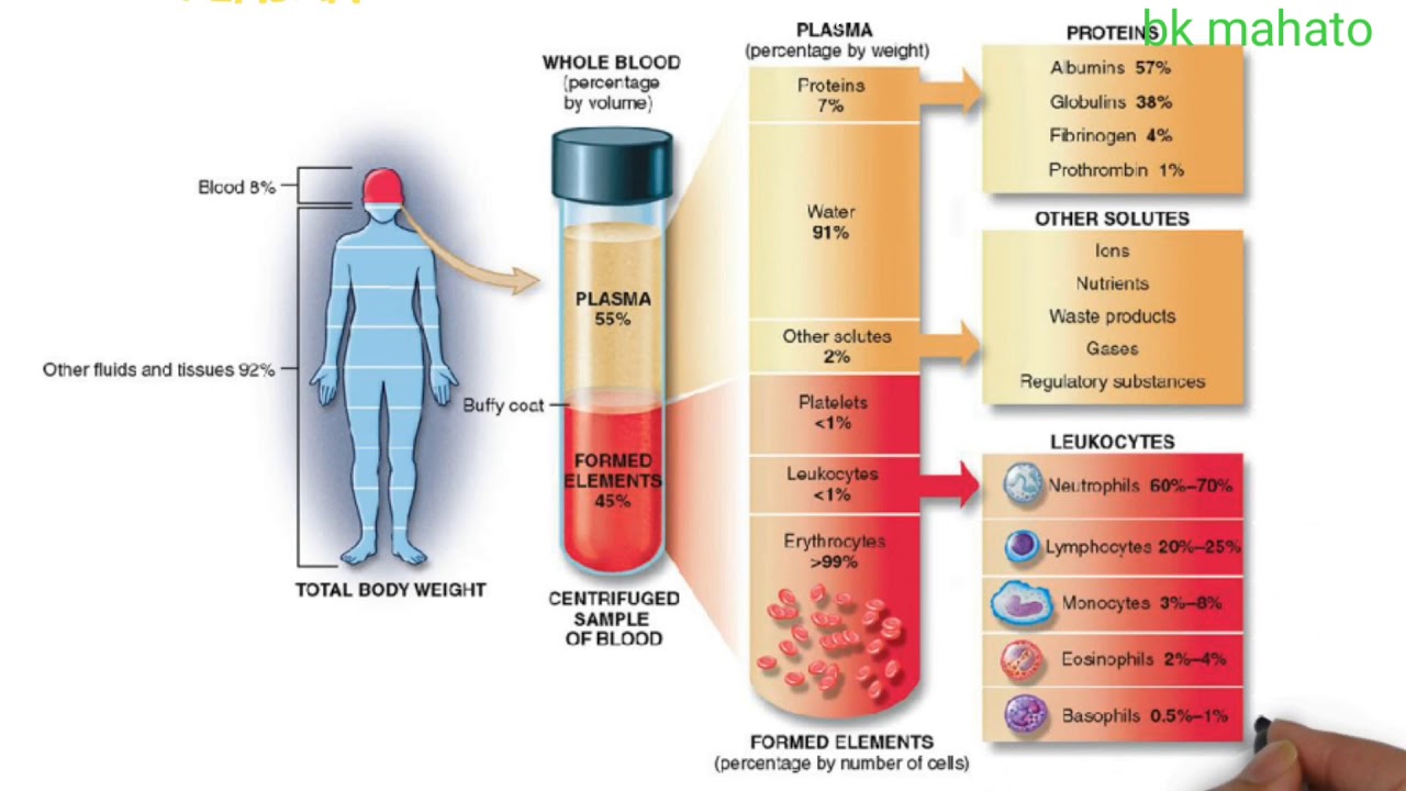 Blood easy explained in very simple and important points - YouTube