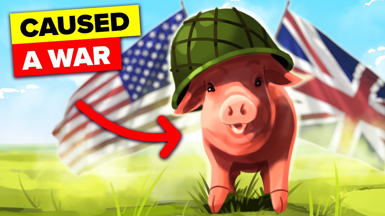 Dumbest Reasons Countries Have Actually Gone To War - YouTube