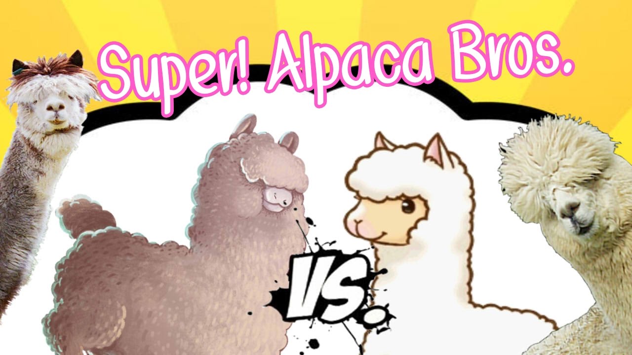 สงคราม อัลปาก้า ท้าชน ! #Super! ALPACA Bros. #1 - YouTube