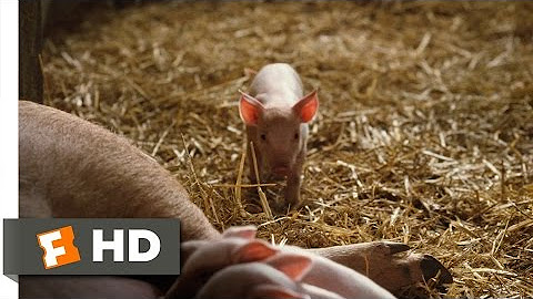 Charlotte's Web (2006) - Movie - YouTube