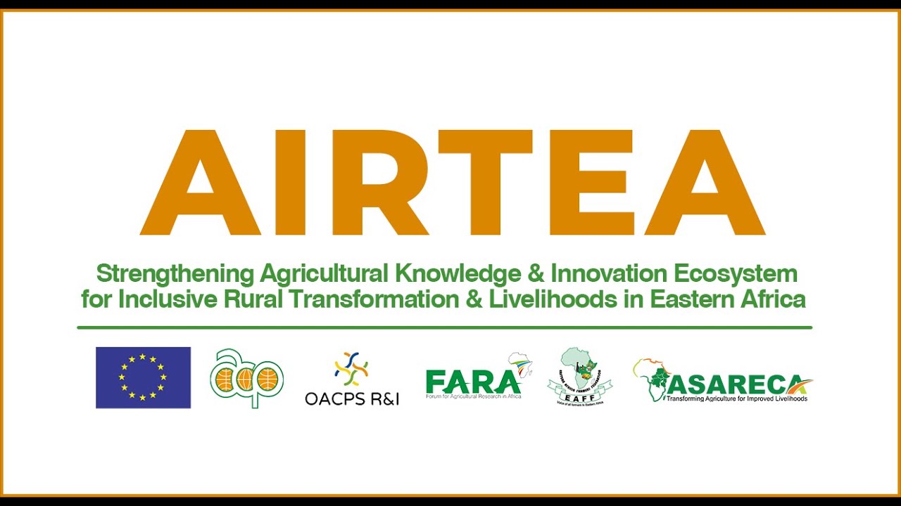 AIRTEA: YEAN Agriculture Knowledge Hub (Rwanda) - YouTube