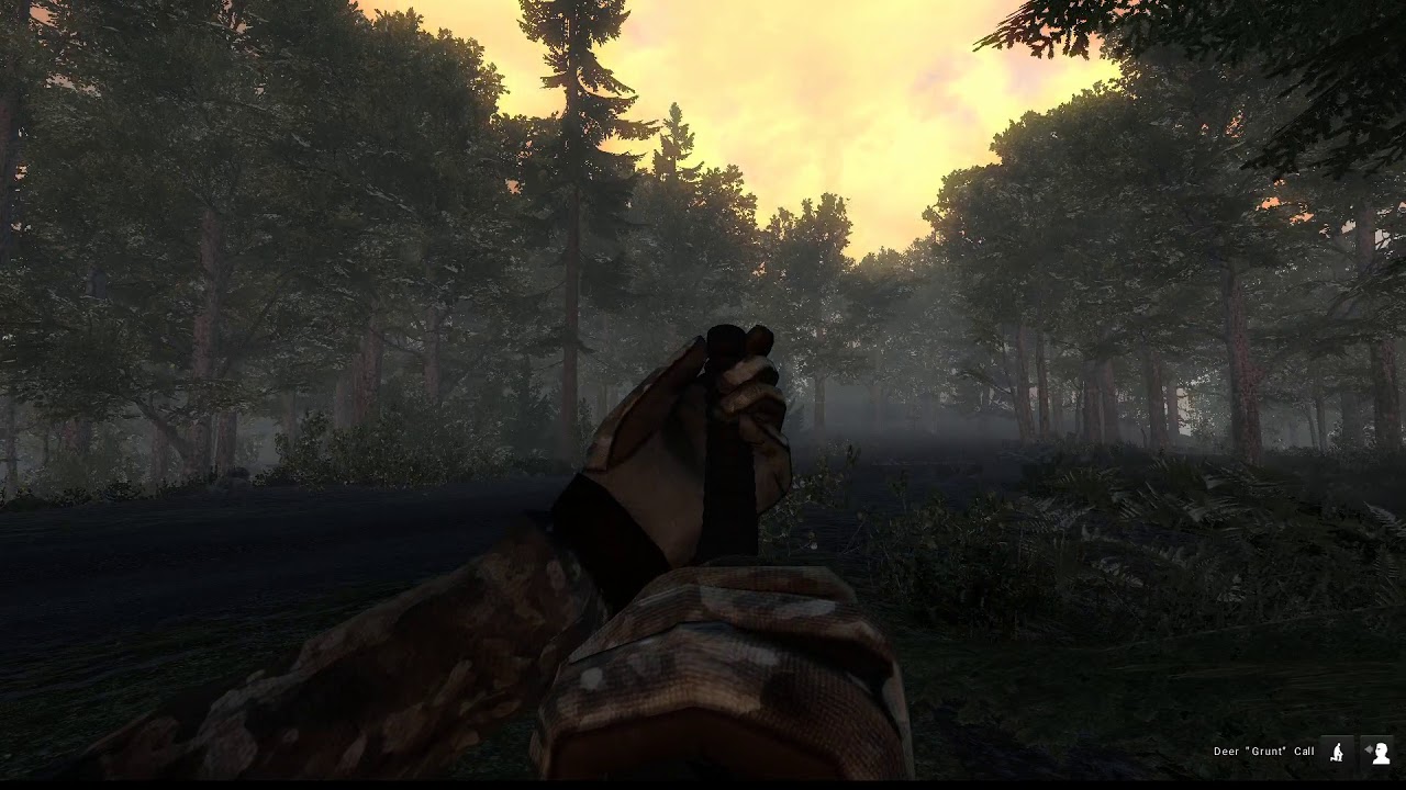 theHunter Classic- Exploring Loggers Point - YouTube