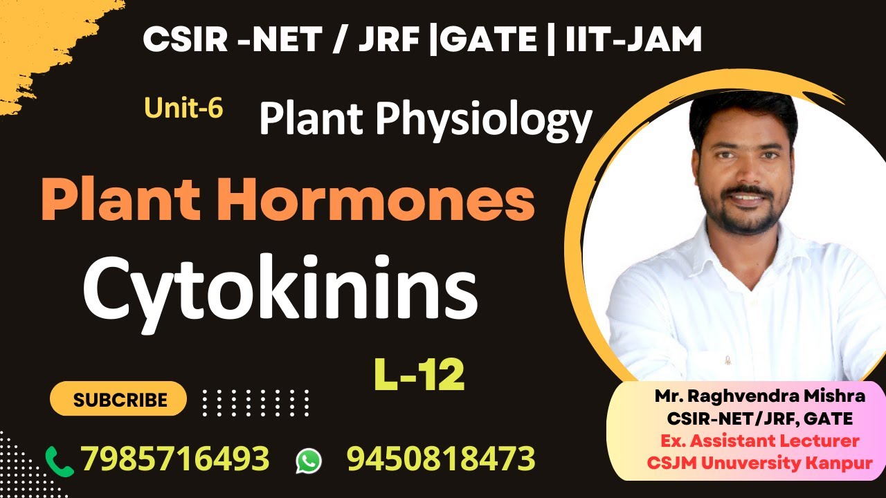 Cytokinin's | Biosynthesis & Signaling | Plant Hormones | Plant ...