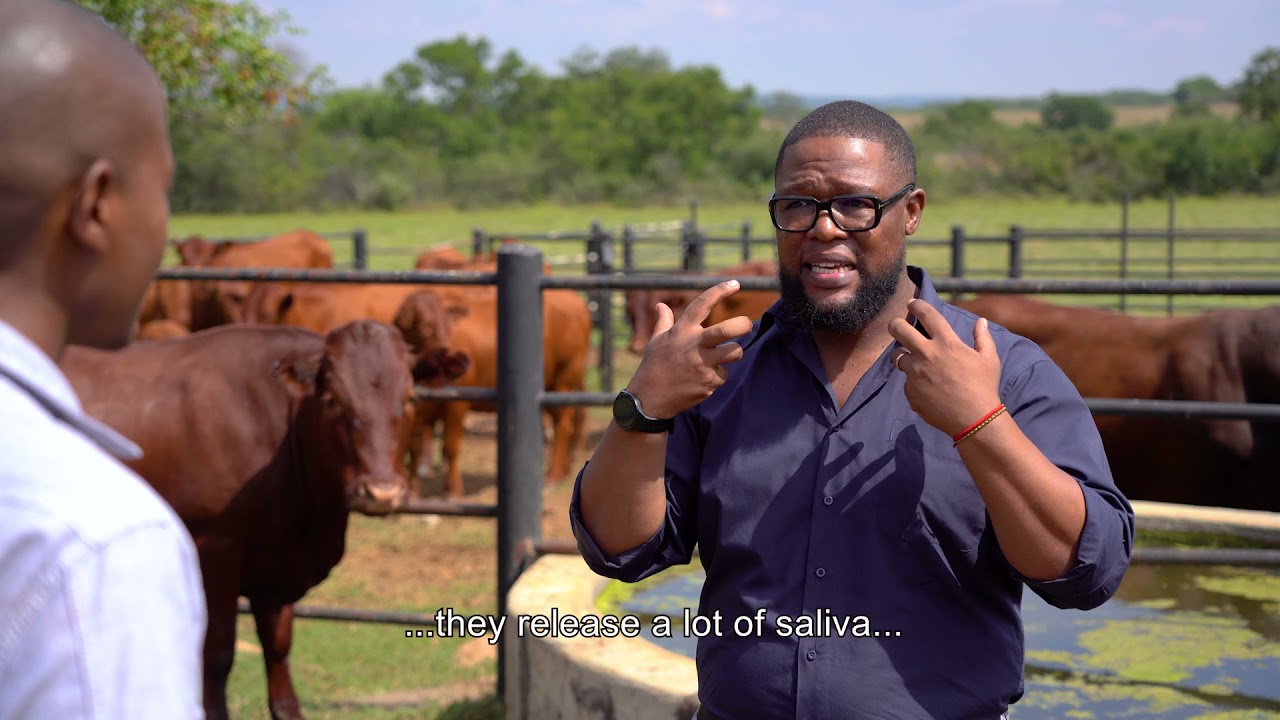 Rabies: Causes, Signs, Prevention and Treatment with Dr. Thapelo Makae ...