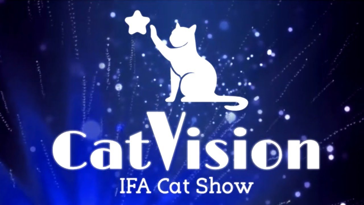 CatVision Cat Show - YouTube
