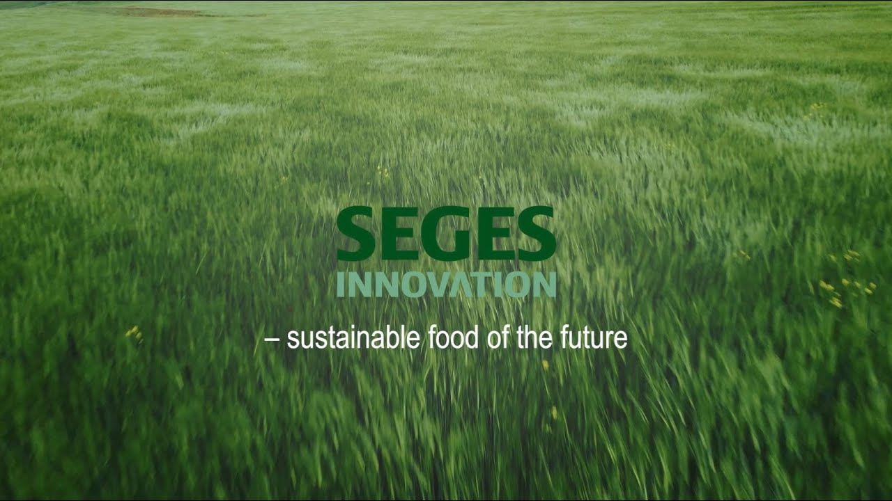 This is SEGES Innovation - YouTube