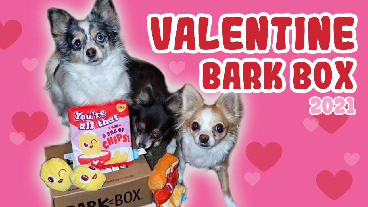 February BarkBox 2021 | Dogs Review Valentine Themed Bark Box | Dinner ...