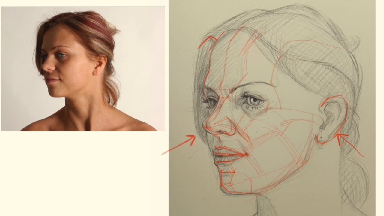 human art drawing｜Head Anatomy Drawing: Fix Flat Faces with Planar ...