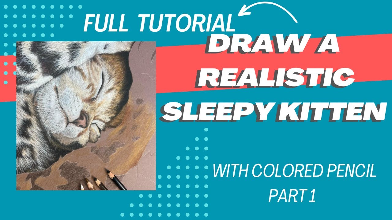 Draw A Realistic Sleepy Kitten with Colored Pencil: Part 1 - YouTube