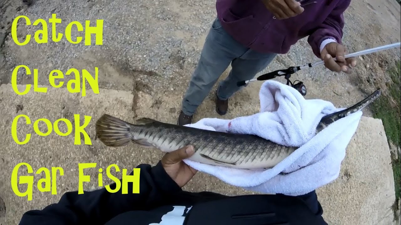 Catching/Cleaning/Cooking Garfish from the bank! - YouTube