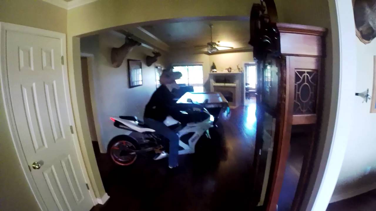 Basic Home Security, Dinosaur Edition - YouTube