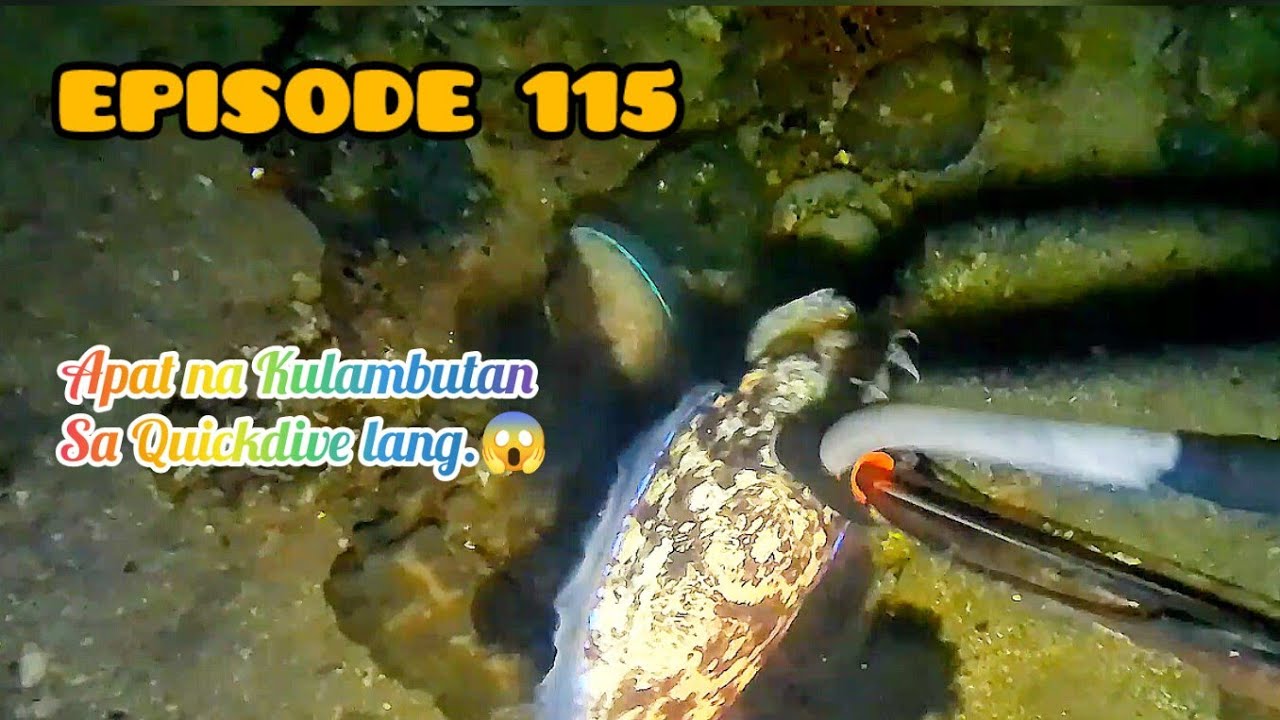 Episode 115: First time ko makahuli ng apat na cuttlefish/bagulan ...