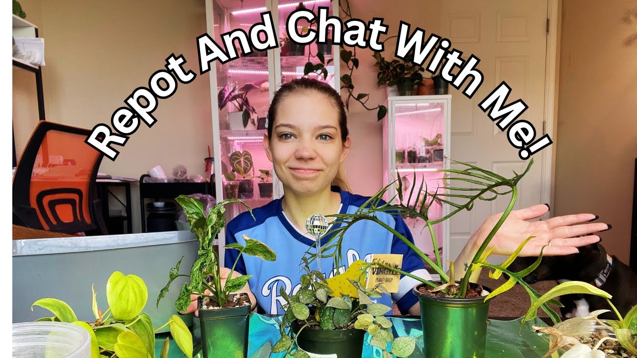 Repot and Chat With Me While I Answer Your Questions! - YouTube