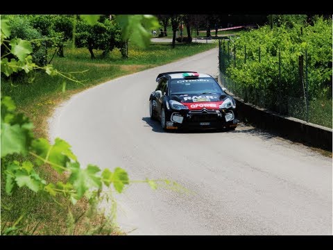 Rally della Marca 2019 - C.I. WRC