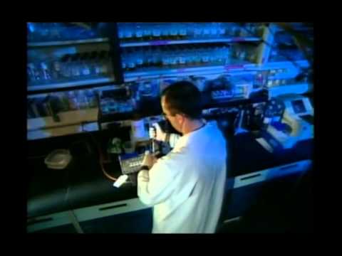 A lab grown Rat Brain fly's a Air-force fighter jet - YouTube