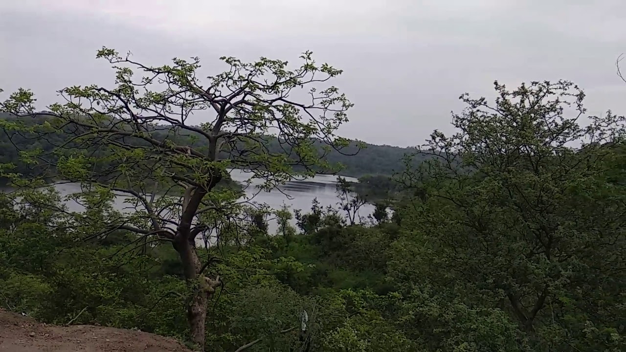 Chohal Dam Hosiarpur near Himachal Pradesh Border Punjab India - YouTube