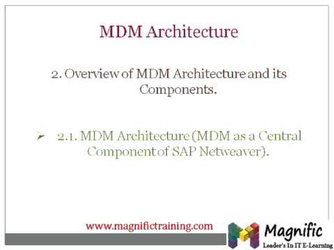 SAP MDM master data managementonline training usa - YouTube