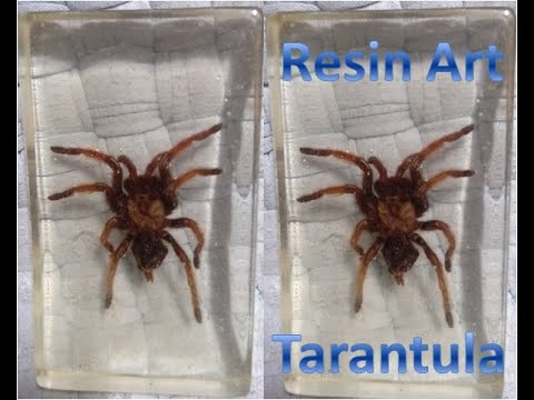 DIY Tarantula In Resin #F.E.Cr - YouTube