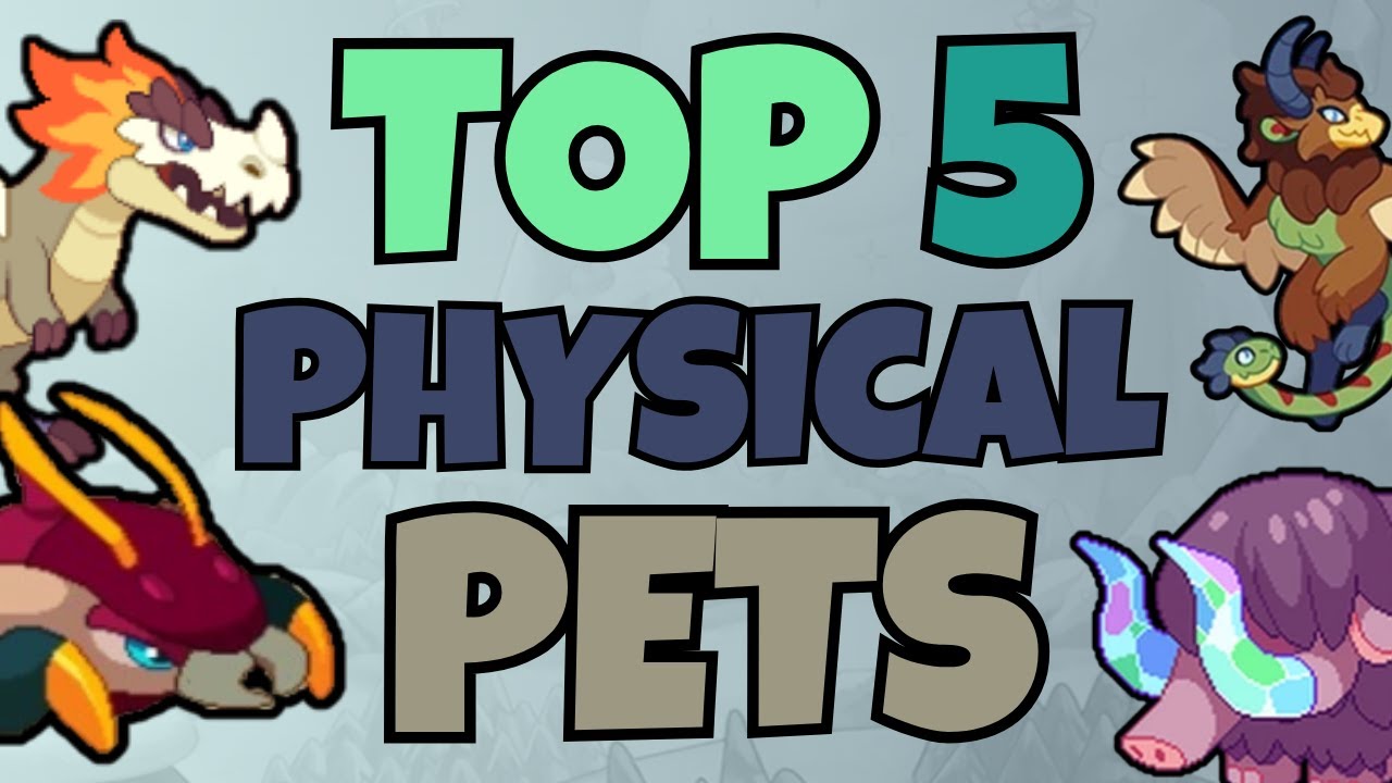 Top 5 Best PHYSICAL Pets in 2024! | Prodigy Math Game - YouTube