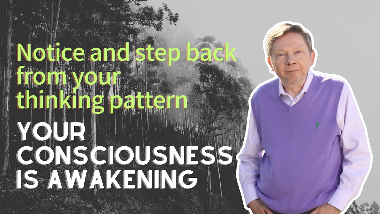 To Be Awakening Is To Notice Your Deeply Mind Patterns And Retreat From ...