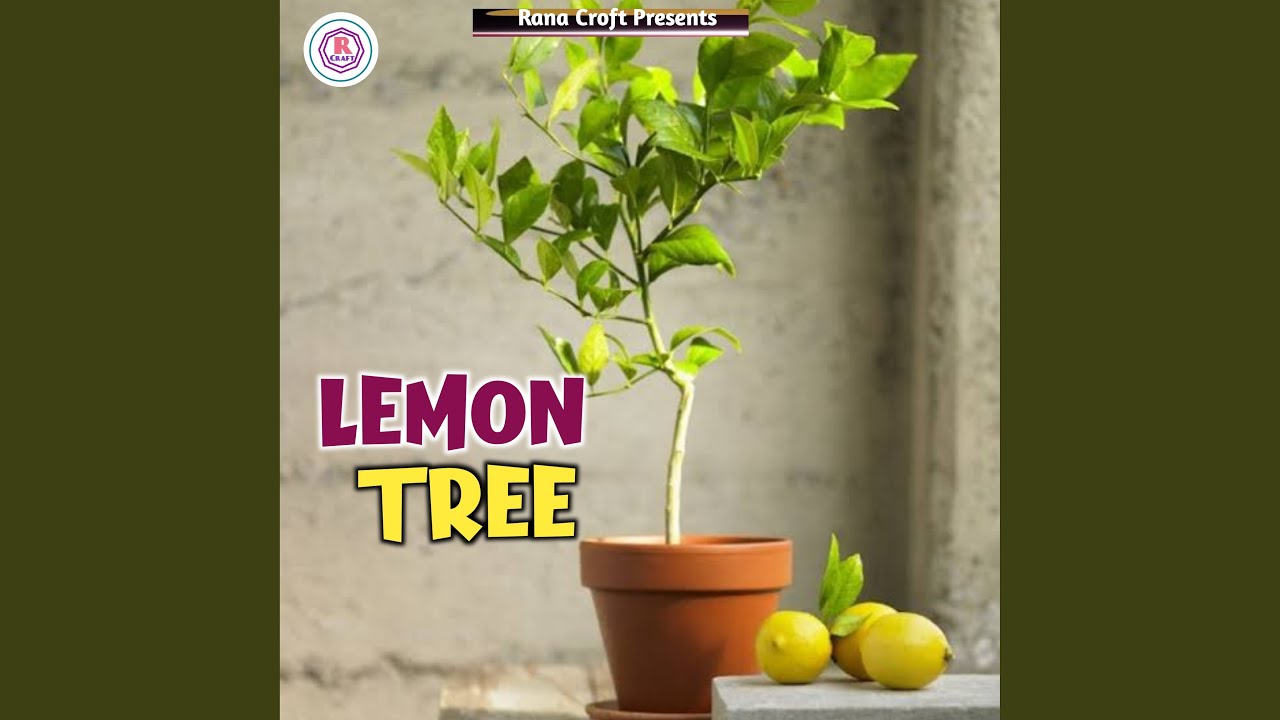 Lemon Tree - YouTube