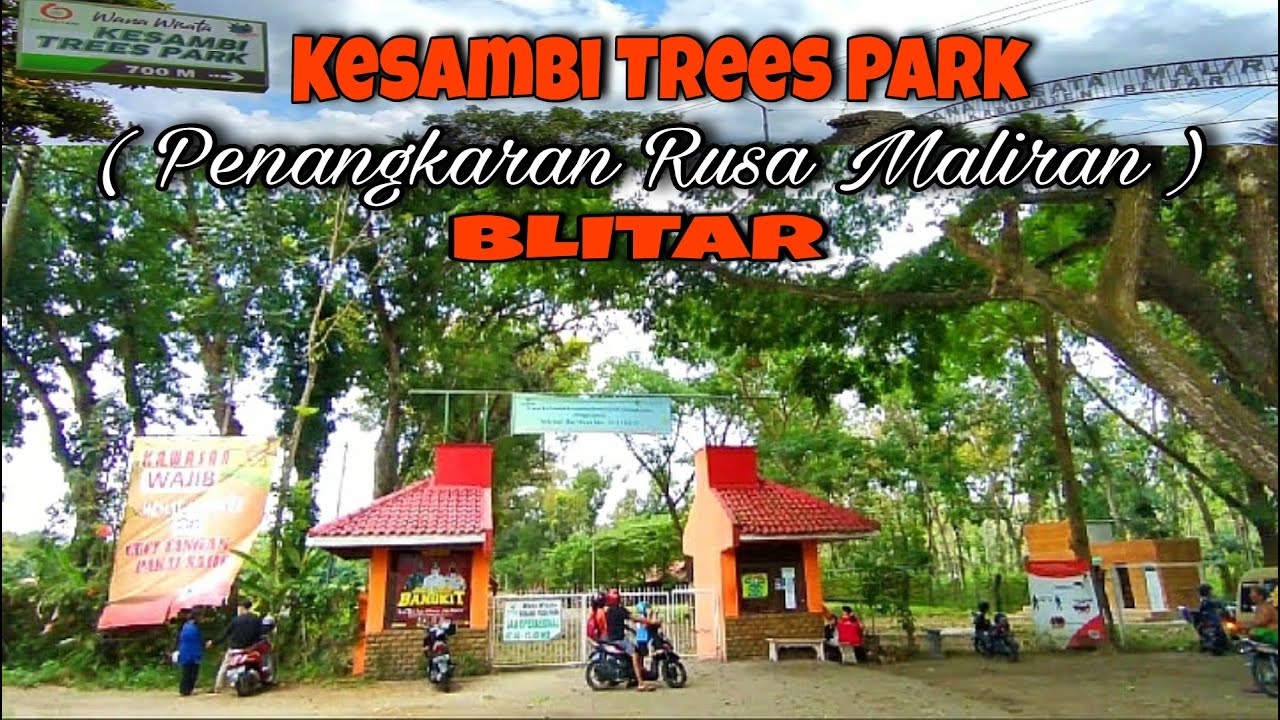 Akses & Perjalanan Menuju Wisata Kesambi Trees Park ( Penangkaran Rusa ...