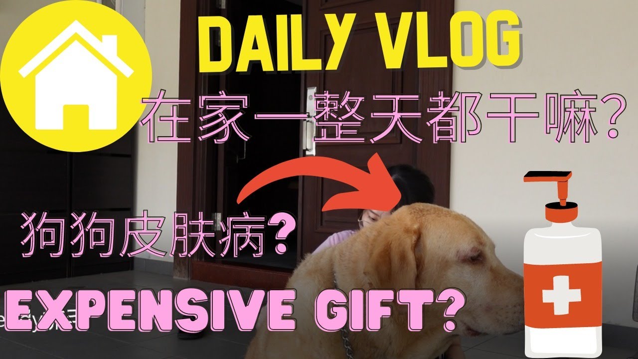 分享系列｜在家的日常｜可爱的嘉宾｜神秘礼物…？｜⭐Teresa Daily Life - YouTube