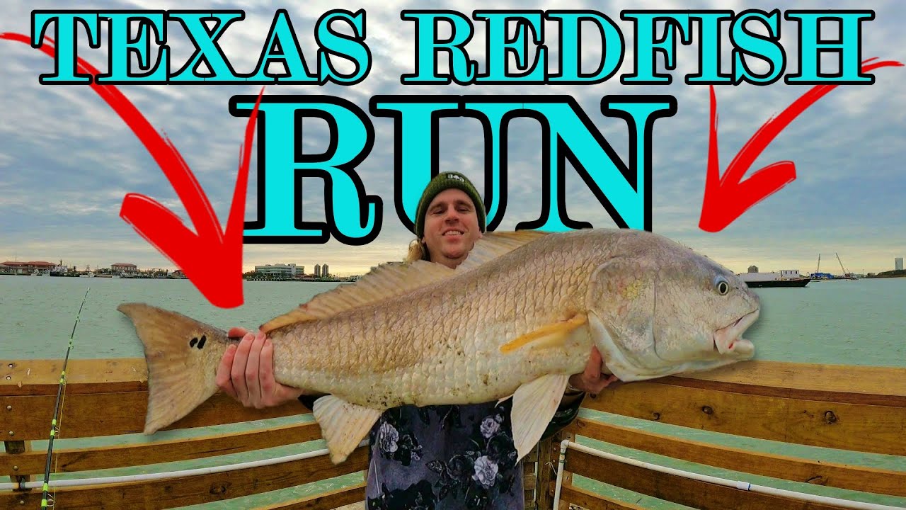 Fishing the Texas Bull Redfish Run | All Day Big Fish Action - YouTube