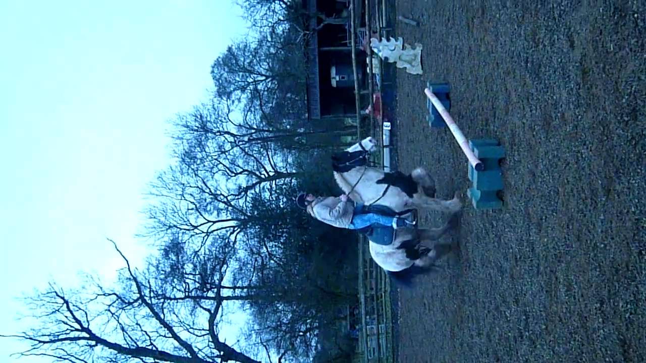 Alison jumping pablo :) - YouTube