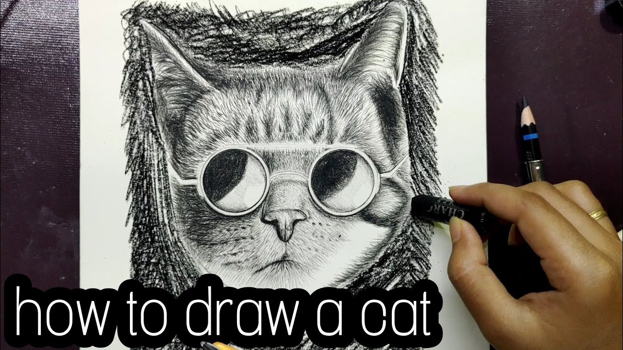 How to draw a cat with charcoal pencil ️ - YouTube