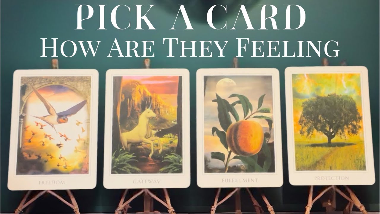 😘🫣How Are They Feeling ️🌹PICK A CARD Tarot Reading #tarot #tarotreading ...