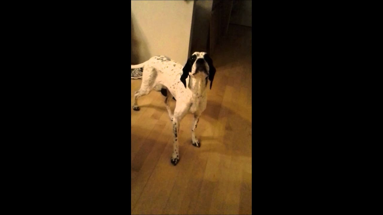 Certifect Side Effects - YouTube