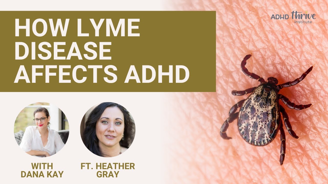 Understanding ADHD in the Shadow of Lyme Disease: Heather Gray's ...