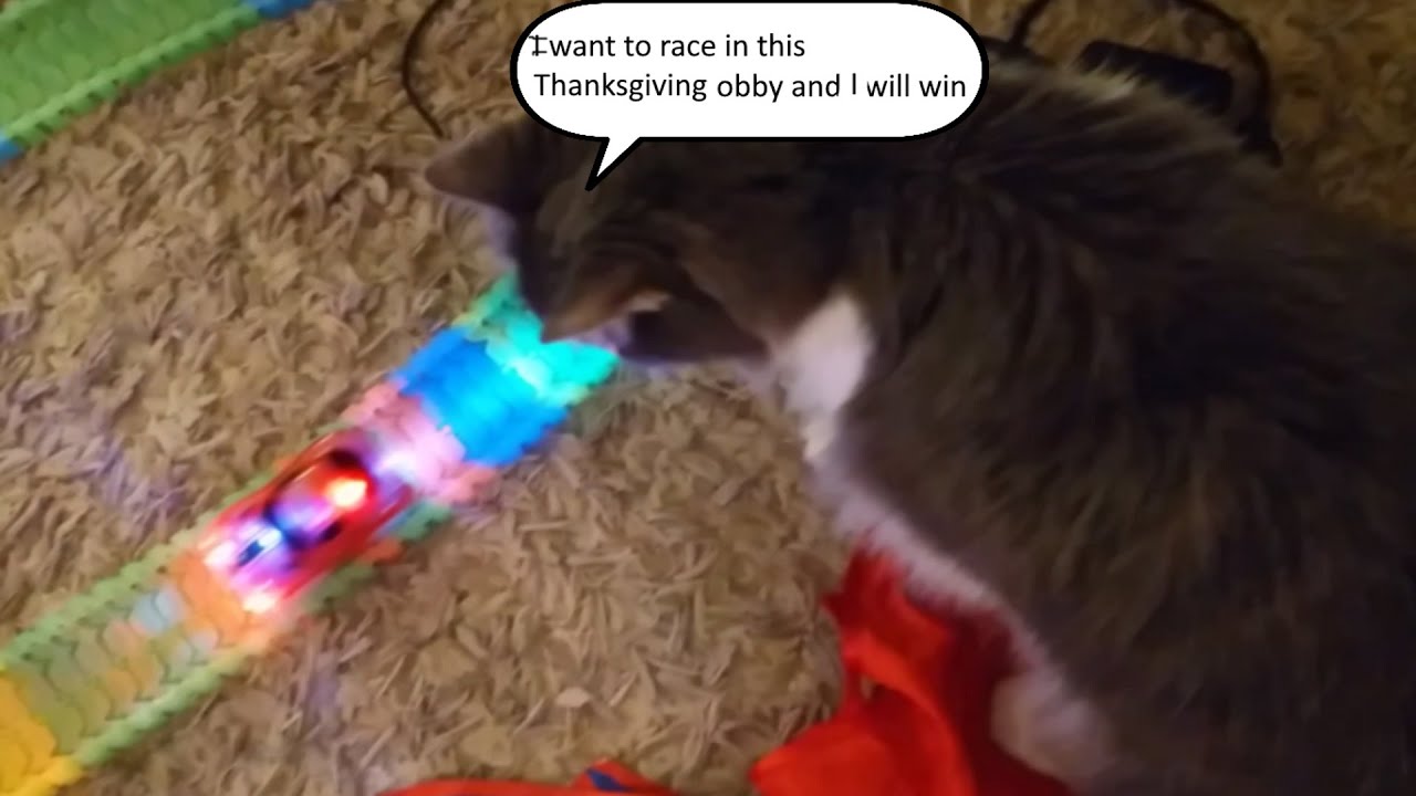 Extreme Thanksgiving cat Obby. - YouTube