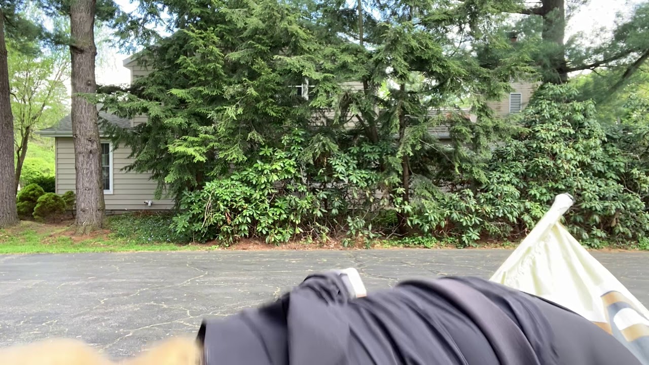 WMU Fight Song with music - YouTube