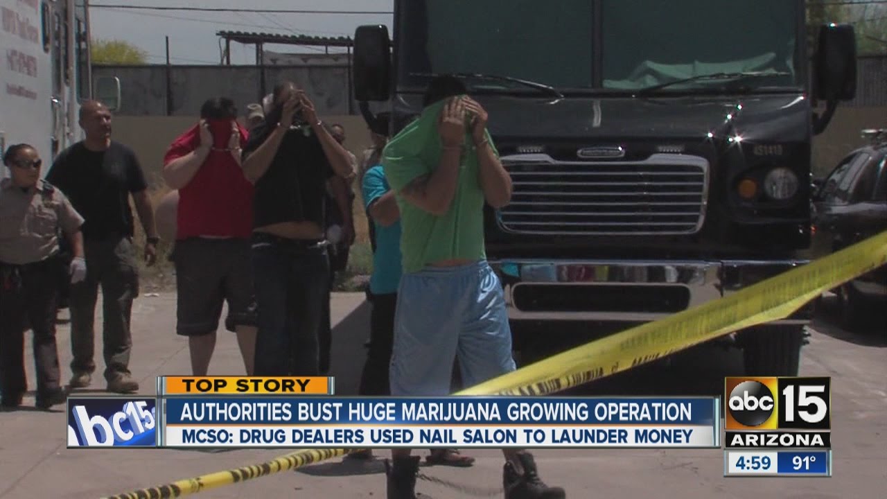 MCSO makes biggest pot bust in Phoenix history - YouTube