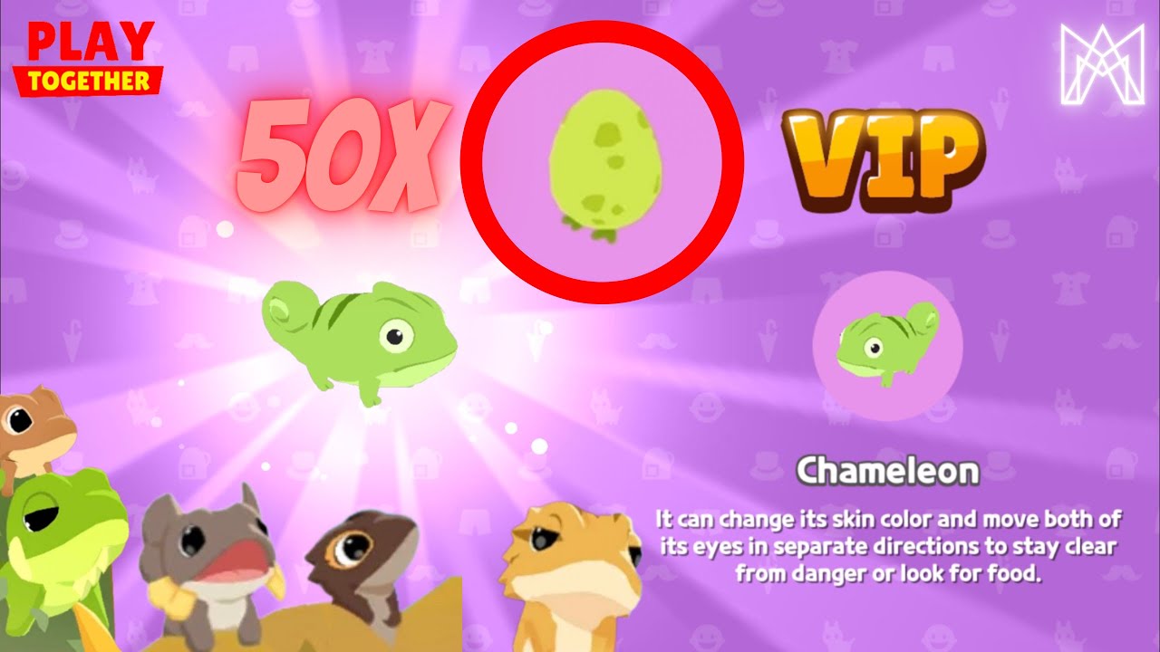 Hunting VIP Lizard Pet, Hatching 50x Eggs | Play Together - YouTube