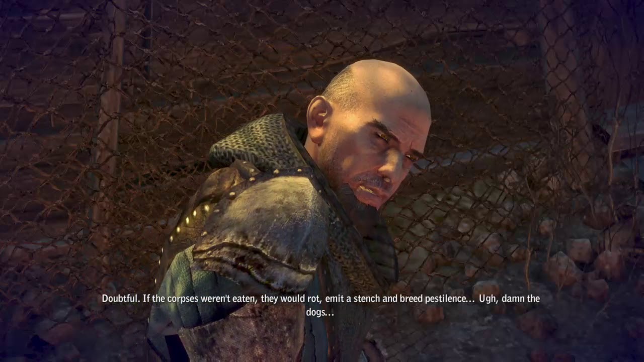 The Witcher 2 - YouTube