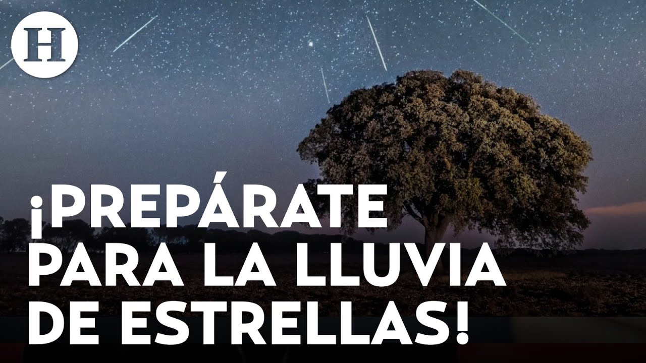 ¿Cuándo, cómo y dónde observar la espectacular lluvia de Perseidas en ...