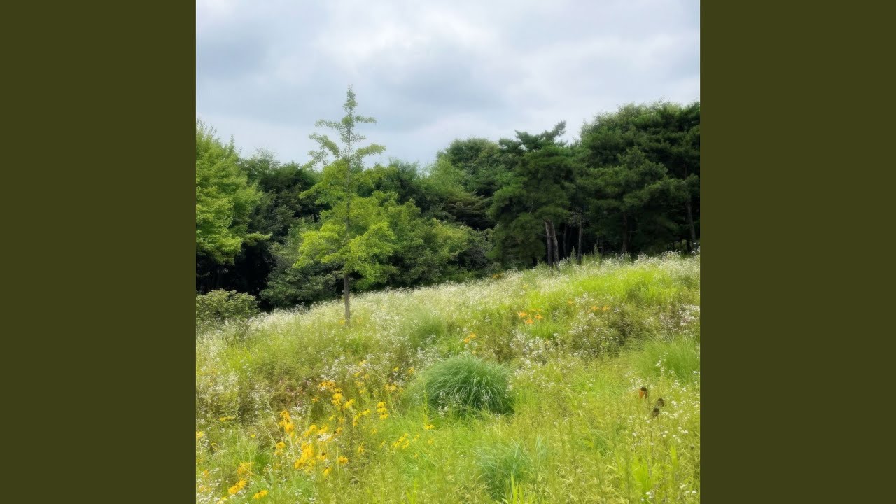 Places We Go - YouTube