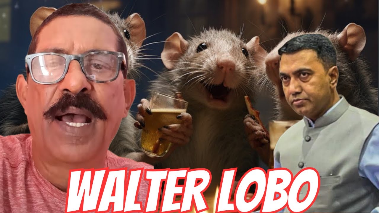 Rats Drinking Alcohol in Calangute? Walter Lobo’s Urgent Message to CM ...