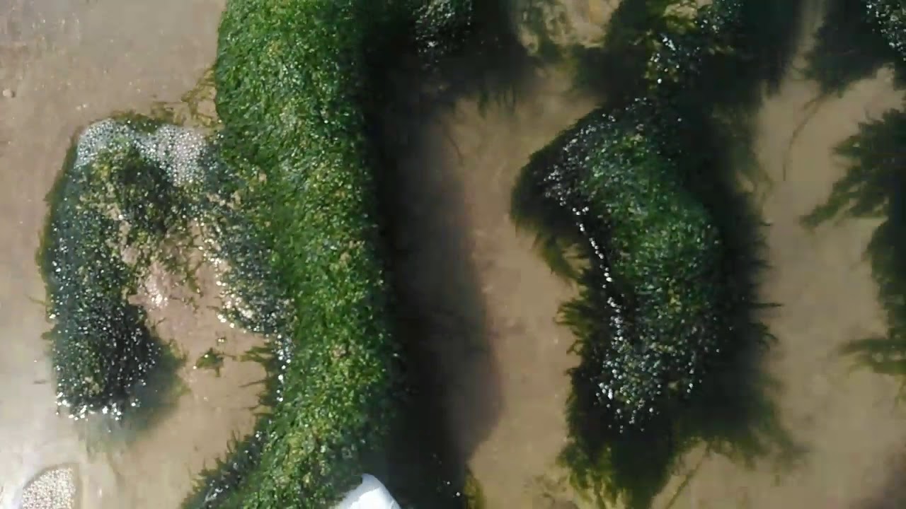 My first vlog on El Haouzia Beach in Azemmour 🏊‍♂️ 🏄‍♀️ - YouTube