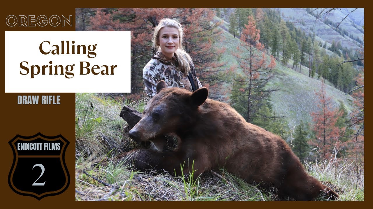 Calling Spring Bear |Rifle| Oregon - YouTube
