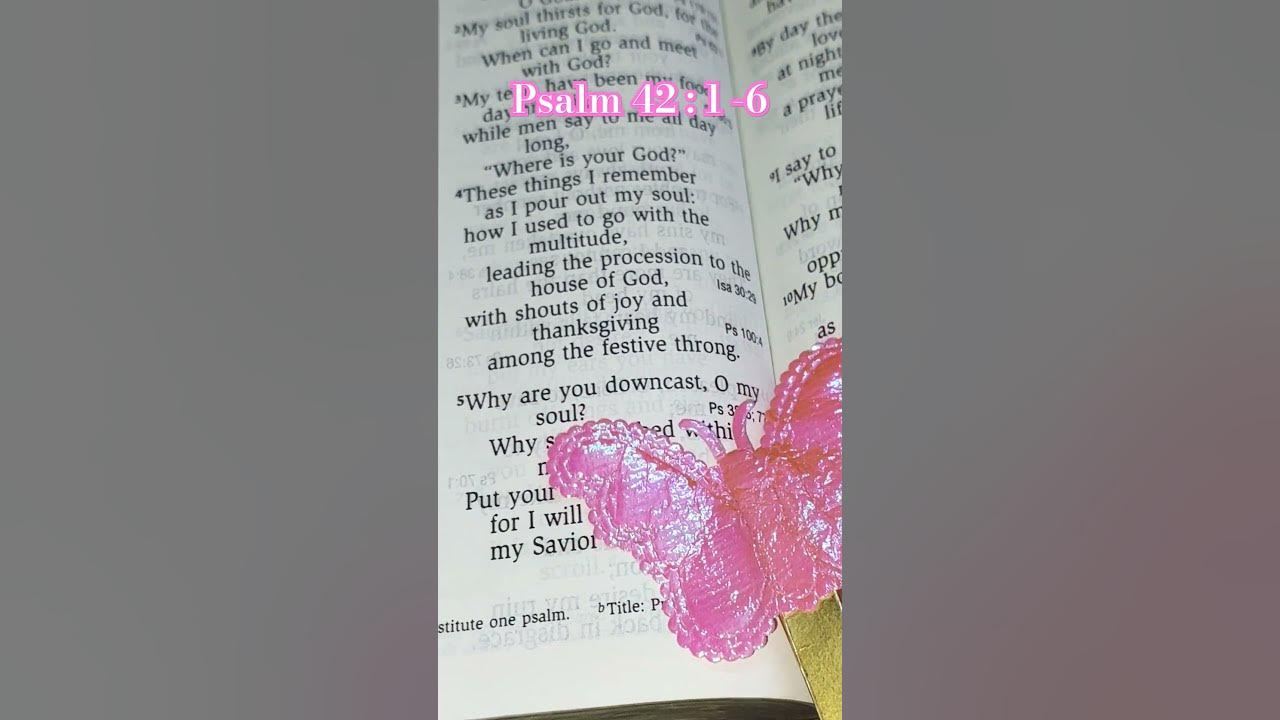 psalm-42-1-6-as-the-deer-pants-for-streams-of-water-so-my-soul-pants