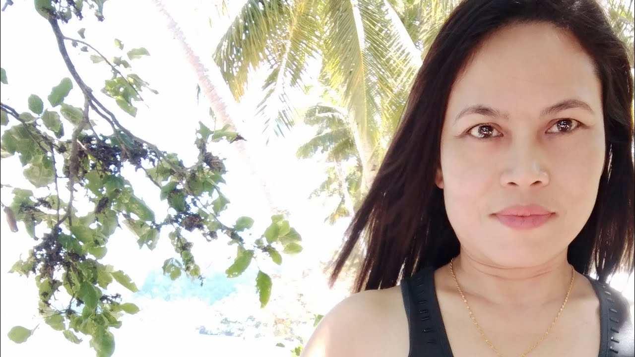 Morning Sunshine - YouTube