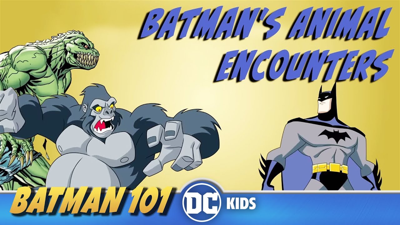 Batman's Animal Encounters | Batman 101 | @dckids - YouTube