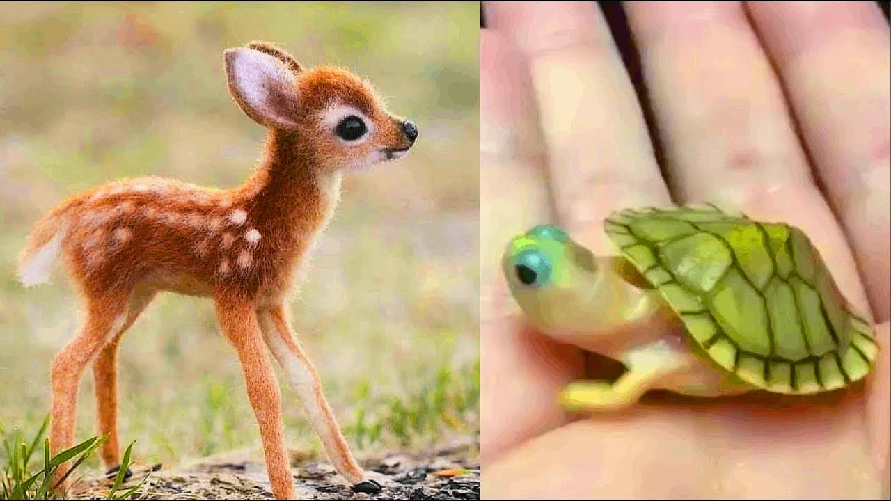 10 Cutest Baby Animals You Need To Pet - YouTube